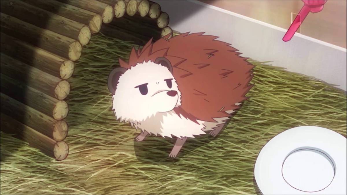 Sunday Select: 7 Unusual Pets in Anime – Anime Rants