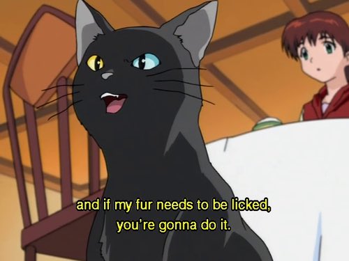 Sunday Select: 7 Awesome Anime Cats – Anime Rants