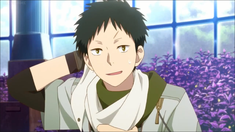 Anime Review: Akagami no Shirayuki-Hime – Anime Rants