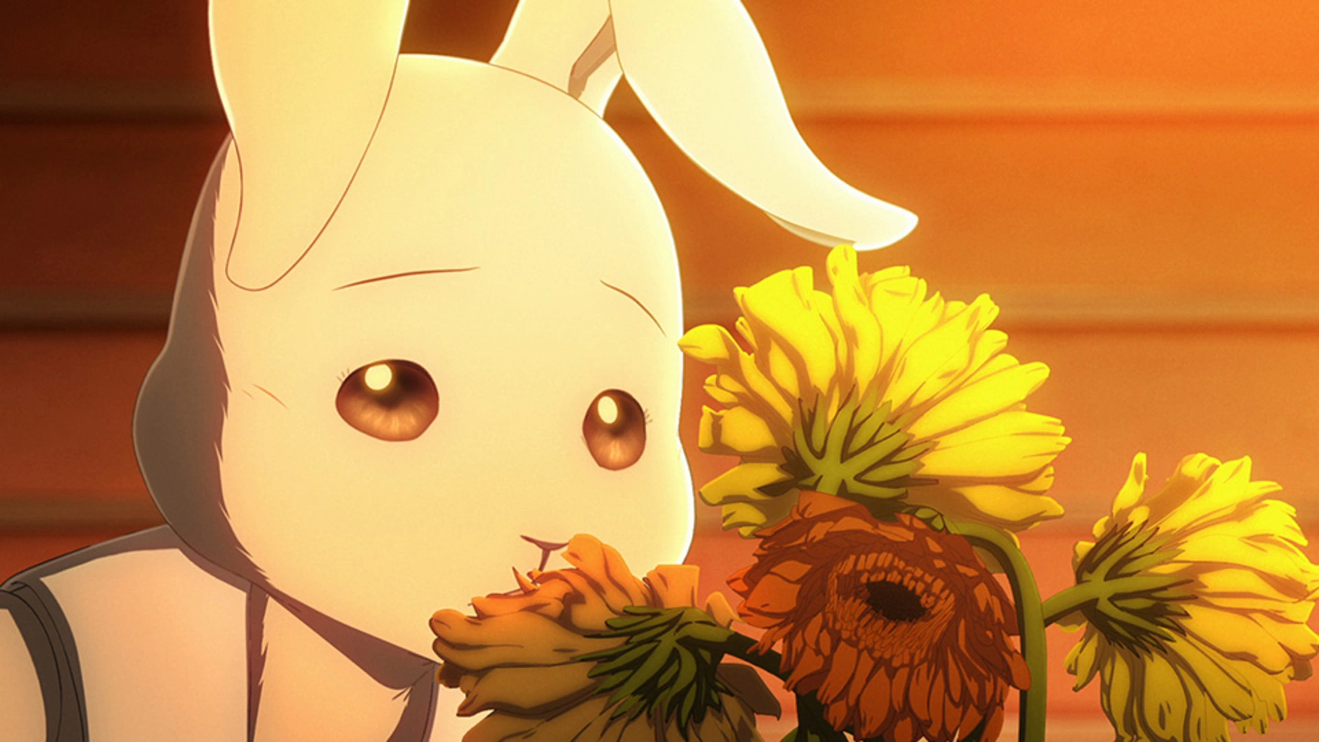 Anime Couples MBTI Analysis: Haru and Legoshi (Beastars) – Anime Rants