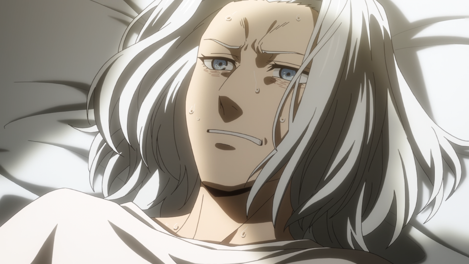 The Ancient Magus’ Bride Season 2: Episodes 22 to 24 – Anime Rants