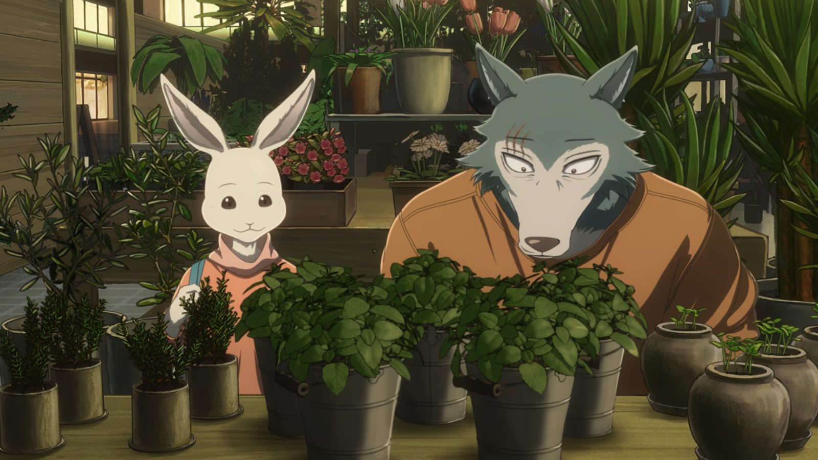 Beastars Final Season Episodes 7 and 8 Reviews – Anime Rants