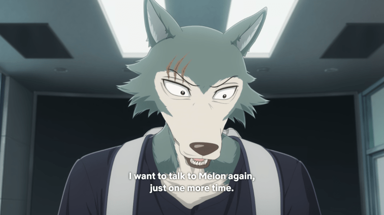Beastars Final Season Episodes 11 and 12 Reviews – Anime Rants