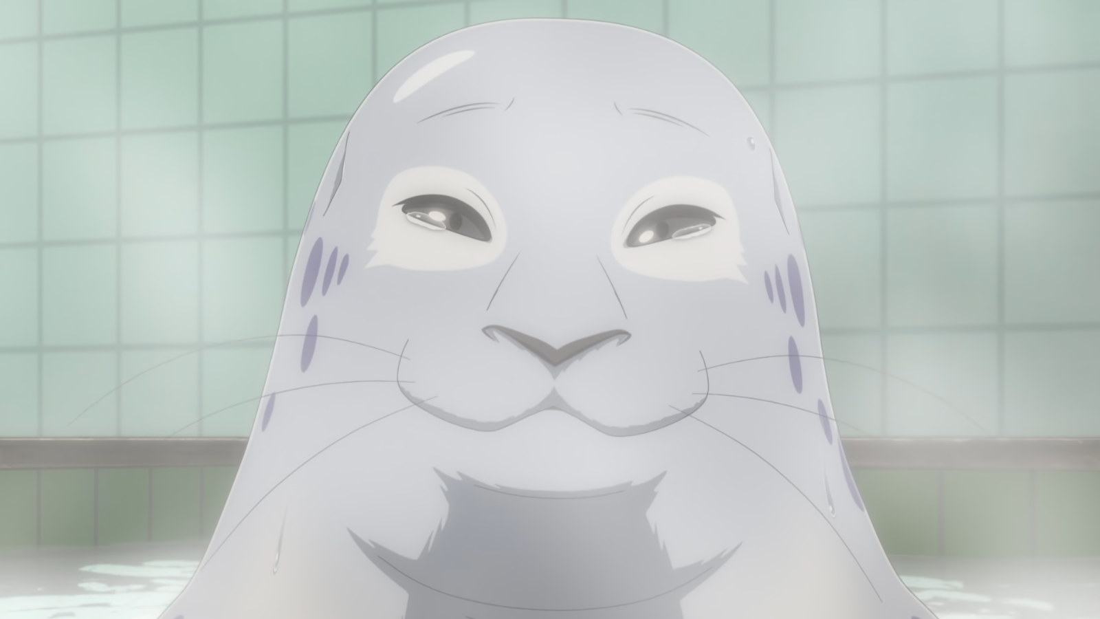 Beastars Final Season Episodes 11 and 12 Reviews – Anime Rants