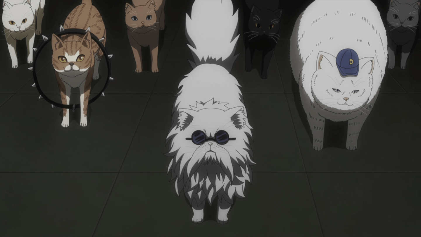 Thoughts on Nyaight of the Living Cat Episodes 1 Thru 7 – Anime Rants